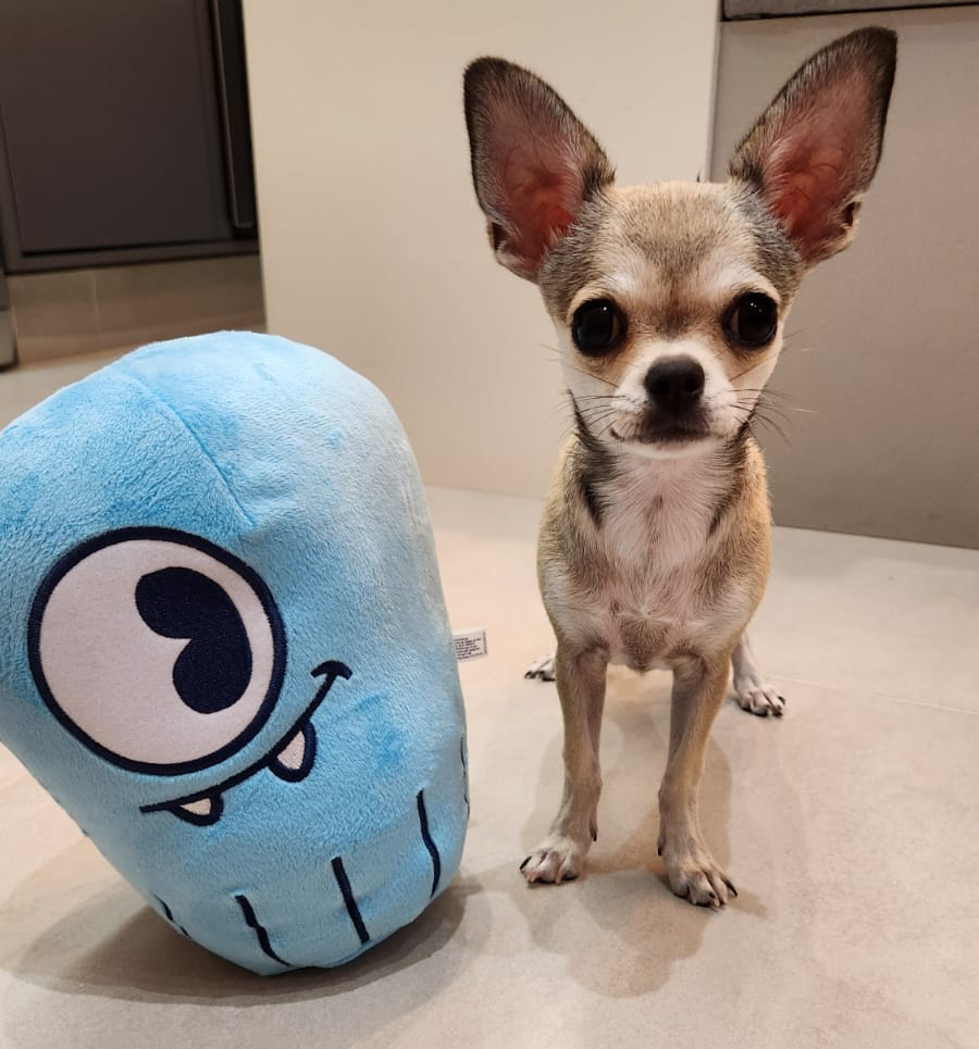 Why ScyllaDB’s Shard Per Core Architecture Matters - ScyllaDB