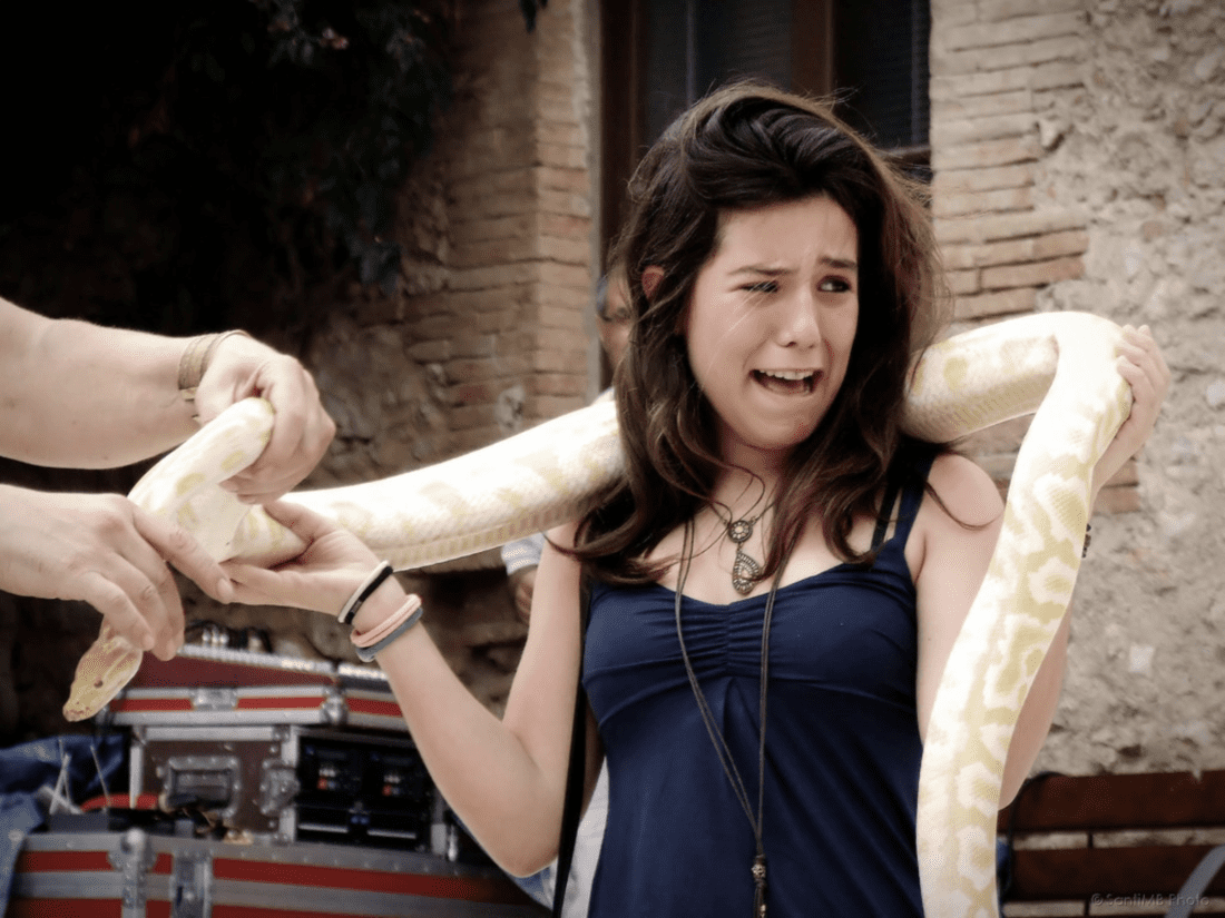 The Complex Path For A Simple Portable Python Interpreter Or Snakes On 