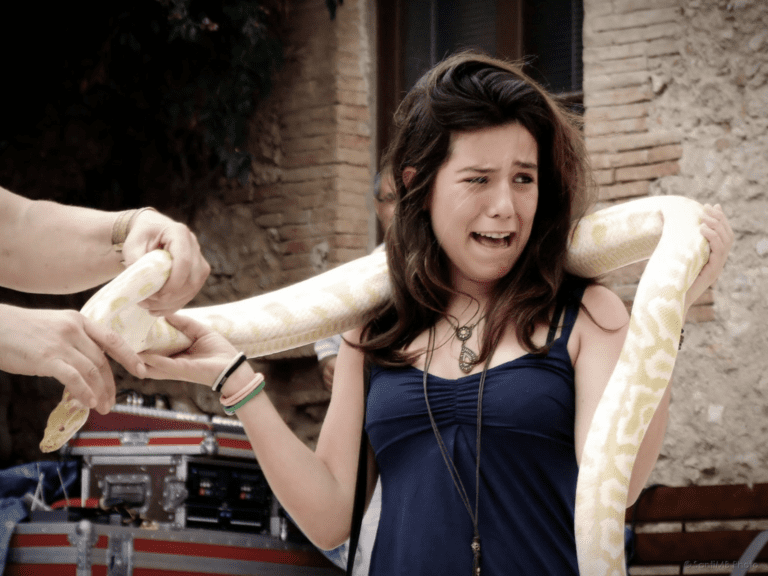 The Complex Path For A Simple Portable Python Interpreter Or Snakes On 